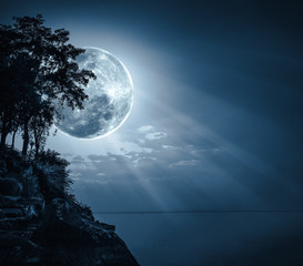 The Homemade Moon – Dahlia Ramone